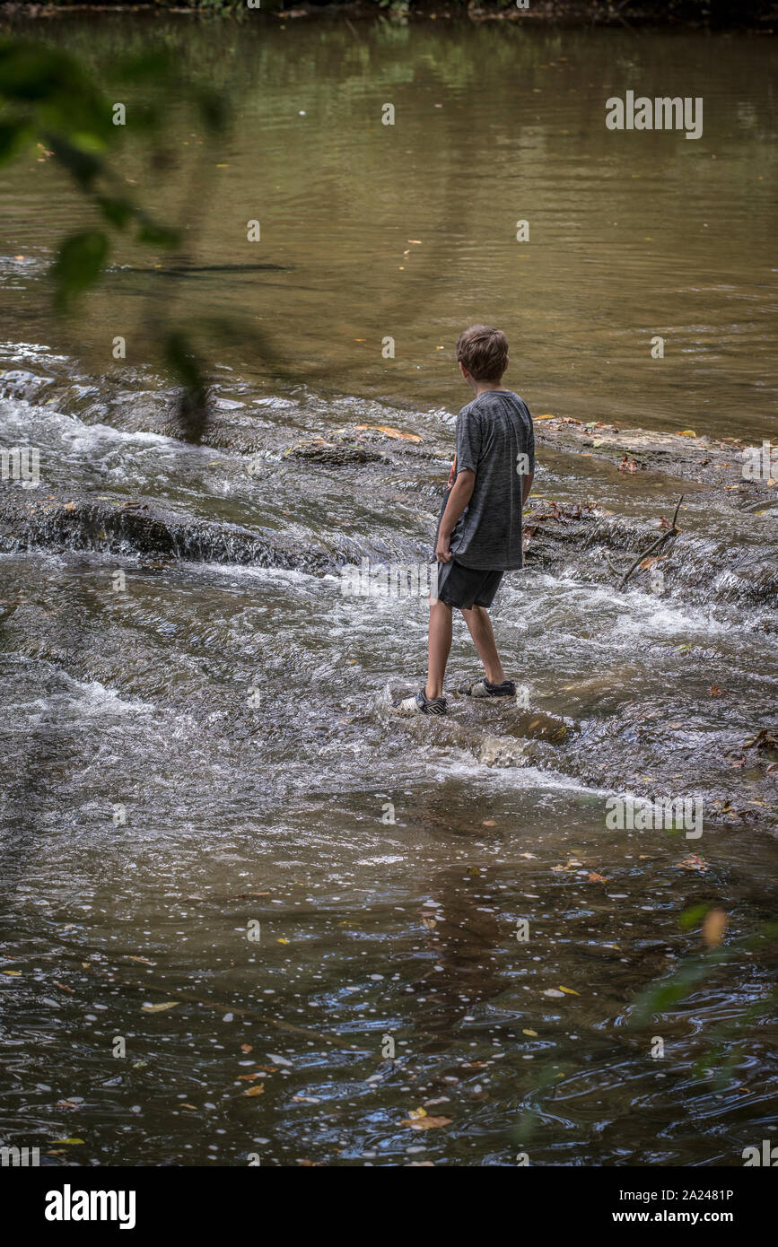 Young boys enjoy exploring in creek Stock Photo - Alamy