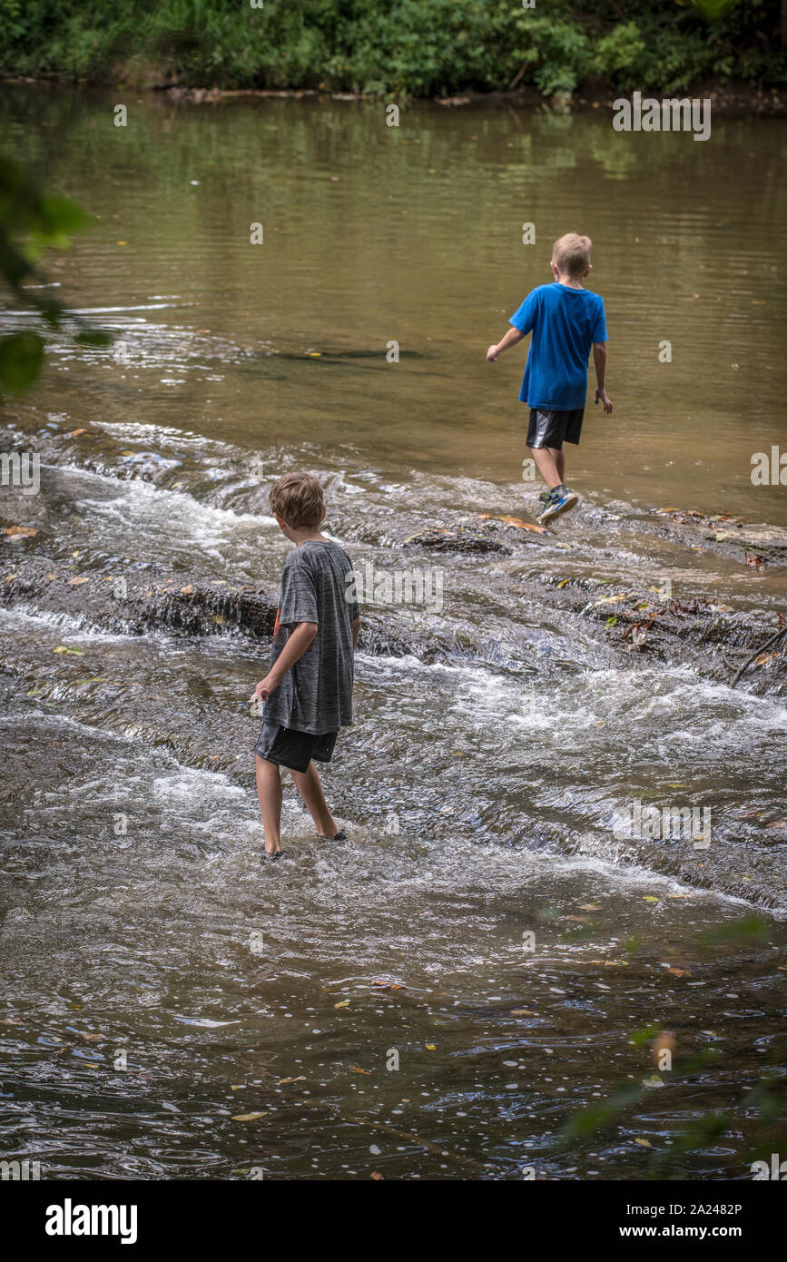 Young boys enjoy exploring in creek Stock Photo - Alamy