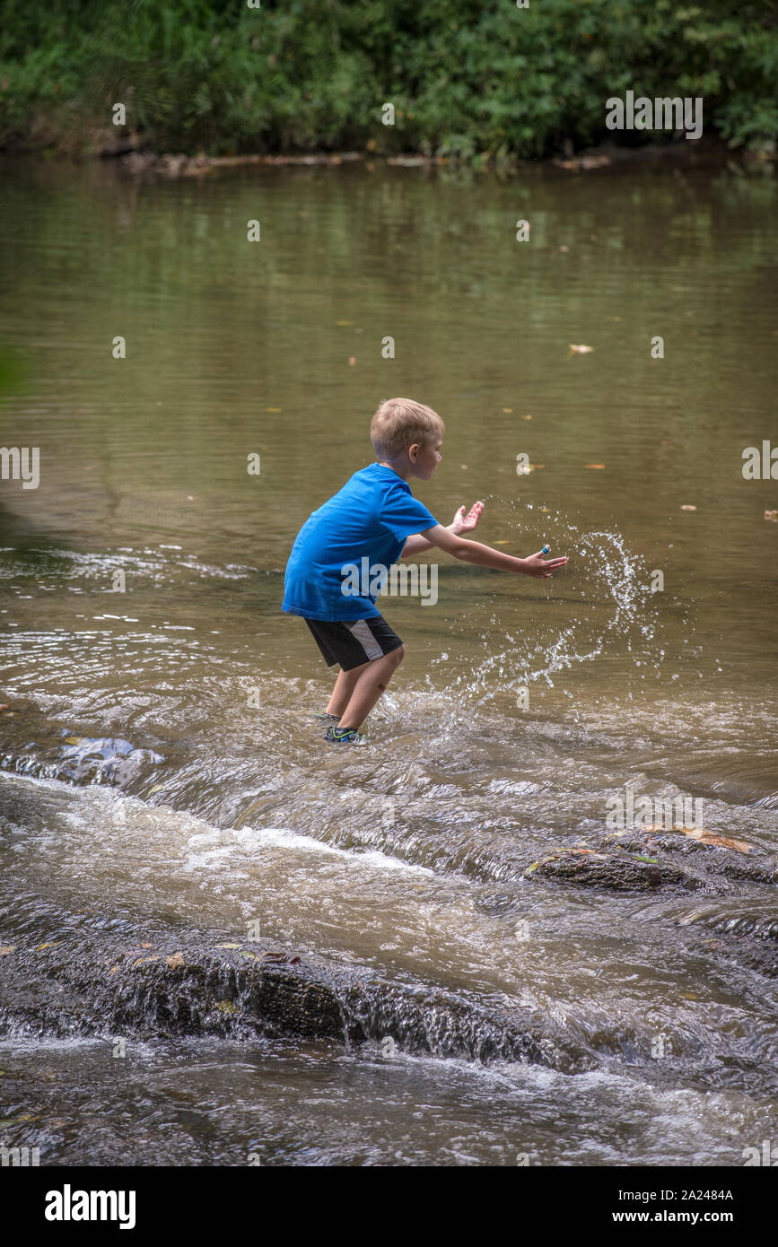 Young boys enjoy exploring in creek Stock Photo - Alamy