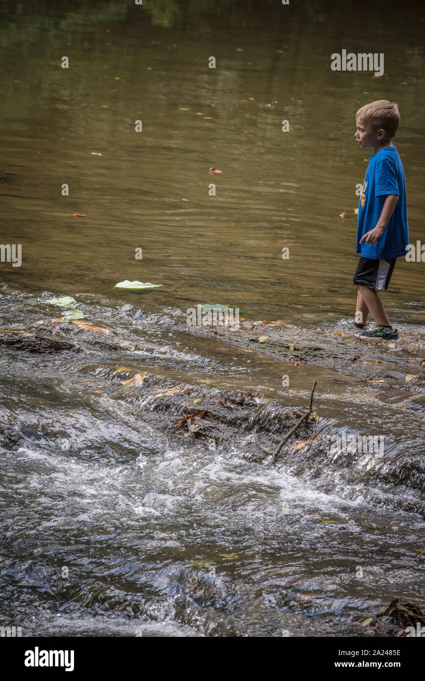 Young boys enjoy exploring in creek Stock Photo - Alamy
