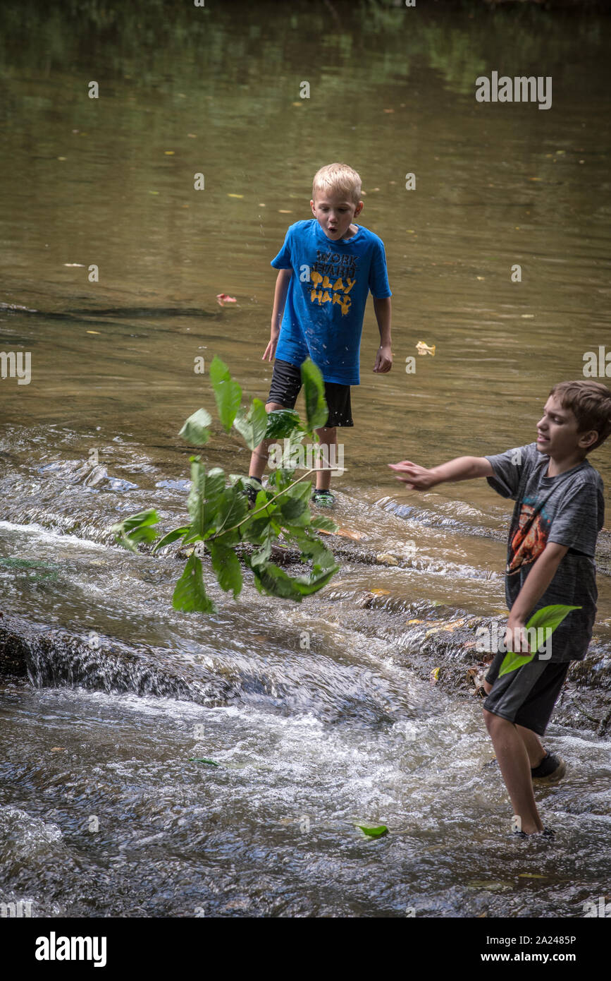 Young boys enjoy exploring in creek Stock Photo - Alamy
