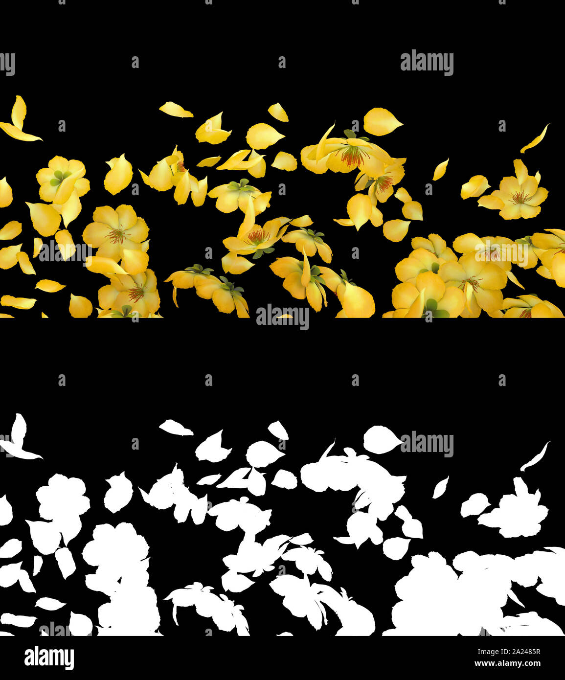 3D illustration of a yellow flower petals flow with alpha layer Stock ...