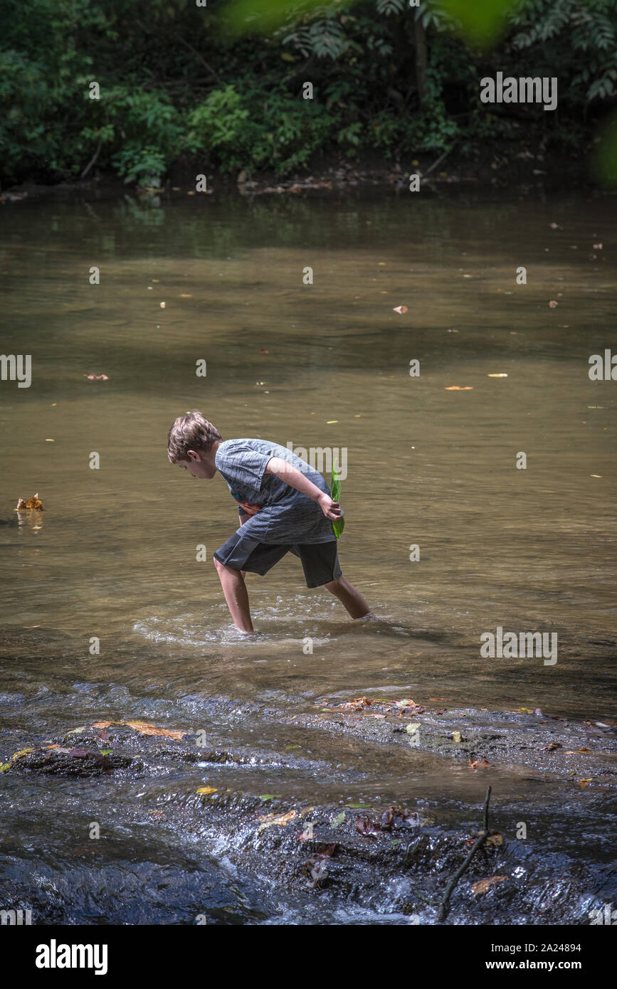 Young boys enjoy exploring in creek Stock Photo - Alamy
