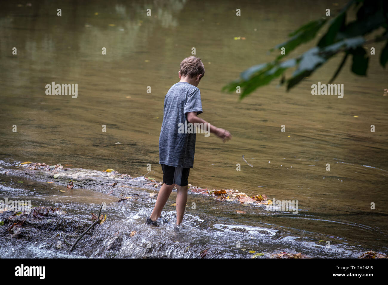 Young boys enjoy exploring in creek Stock Photo - Alamy