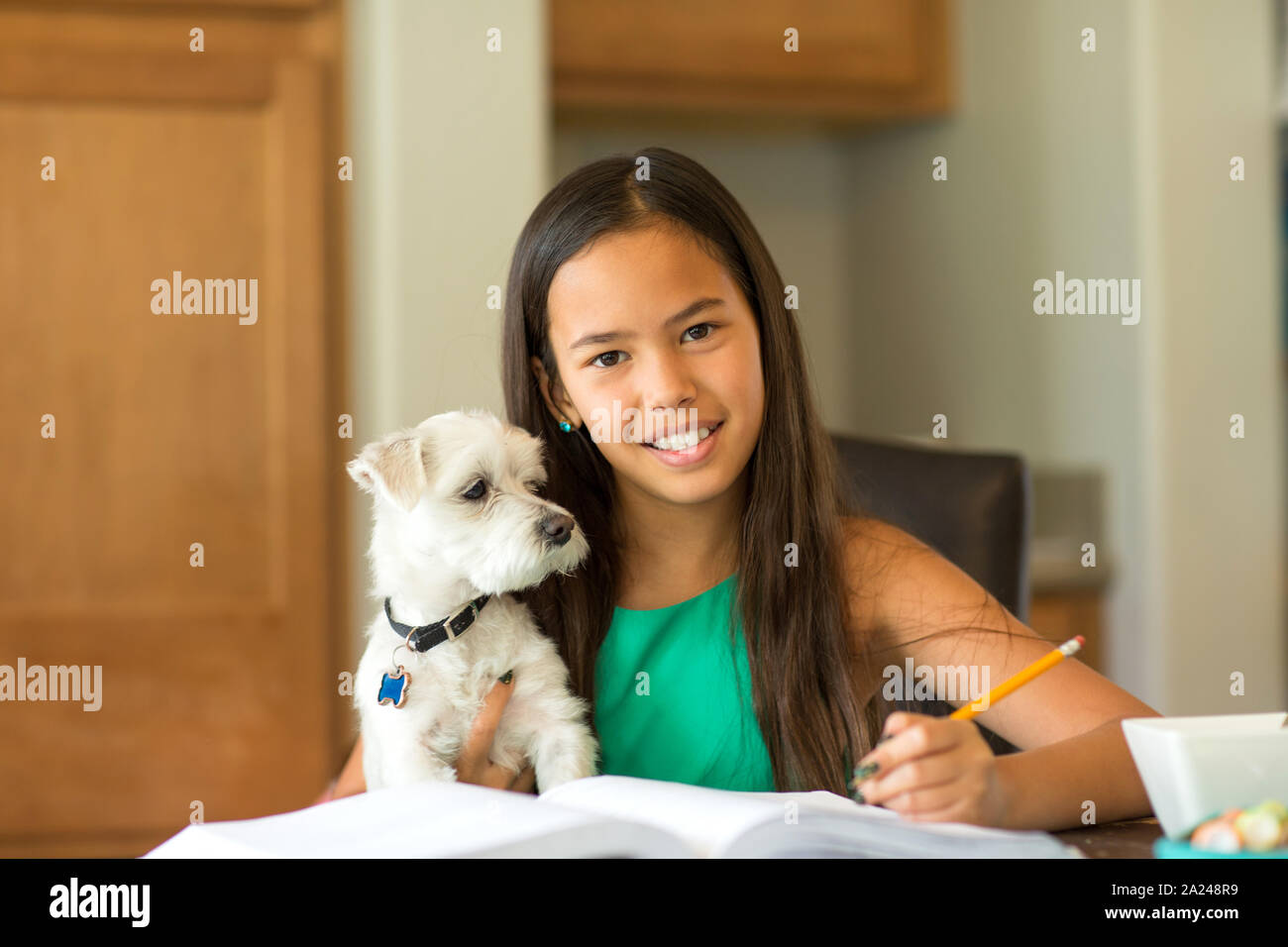 Girl homework pet hi-res stock photography and images - Alamy