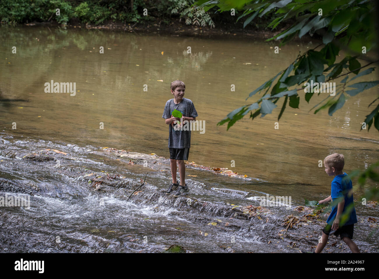 Young boys enjoy exploring in creek Stock Photo - Alamy