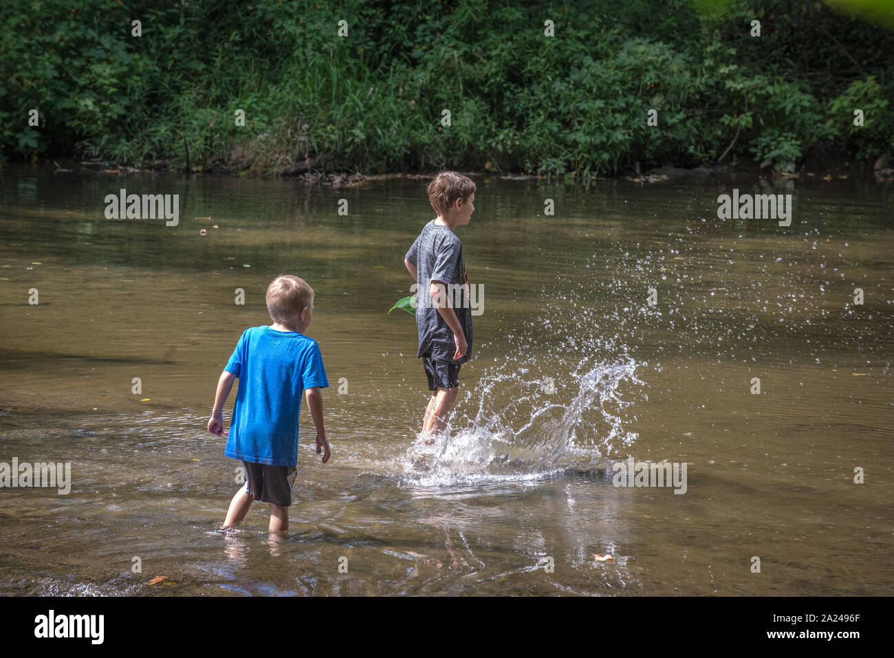 Young boys enjoy exploring in creek Stock Photo - Alamy