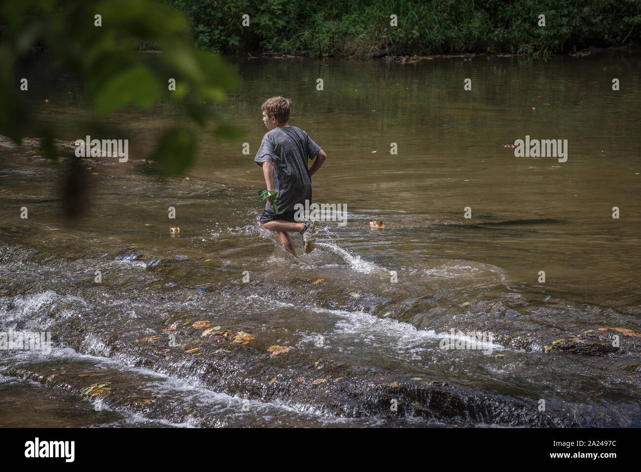 Young boys enjoy exploring in creek Stock Photo - Alamy