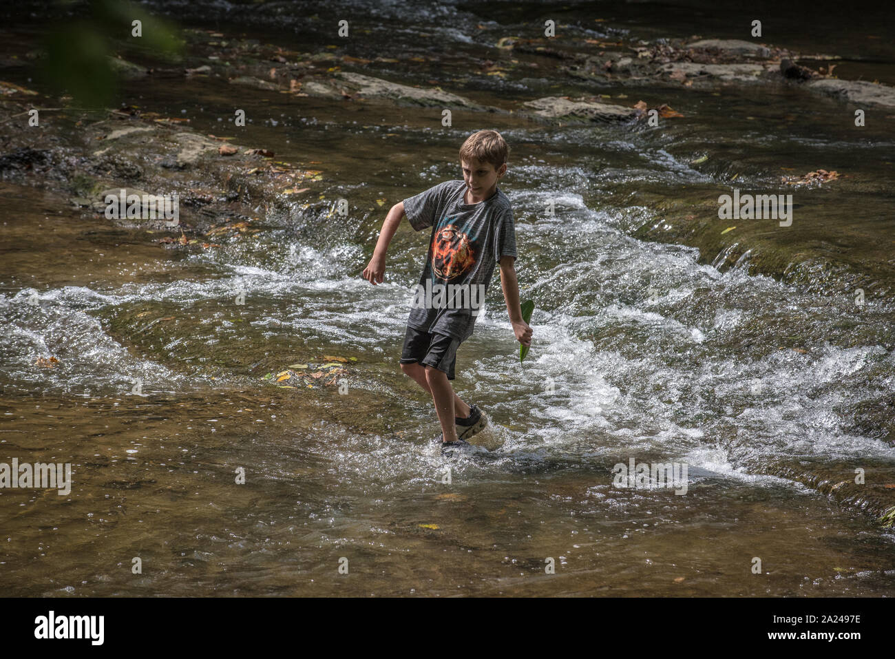 Young boys enjoy exploring in creek Stock Photo - Alamy