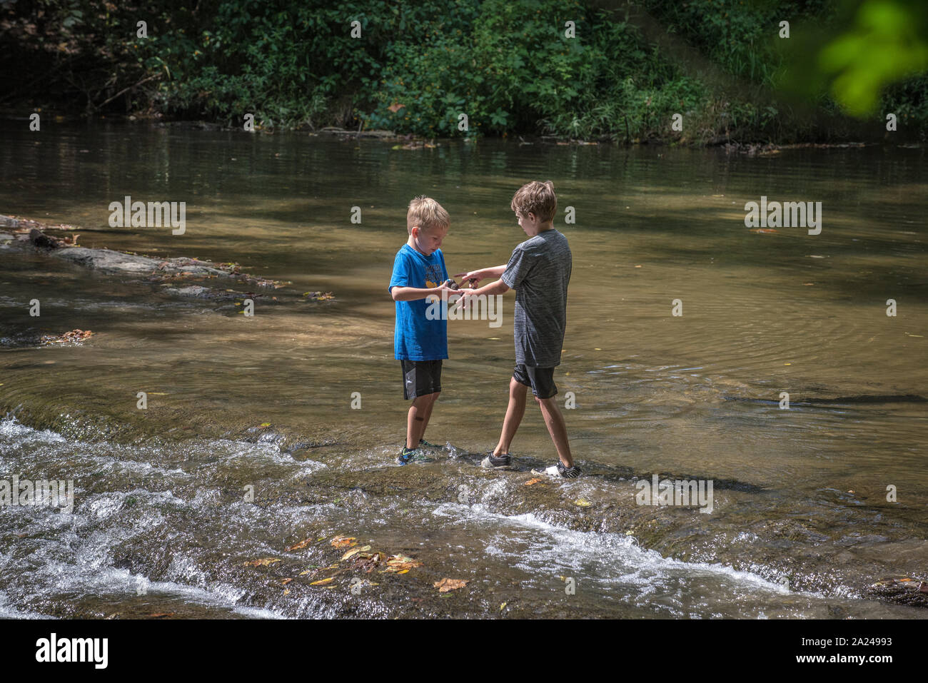 Young boys enjoy exploring in creek Stock Photo - Alamy