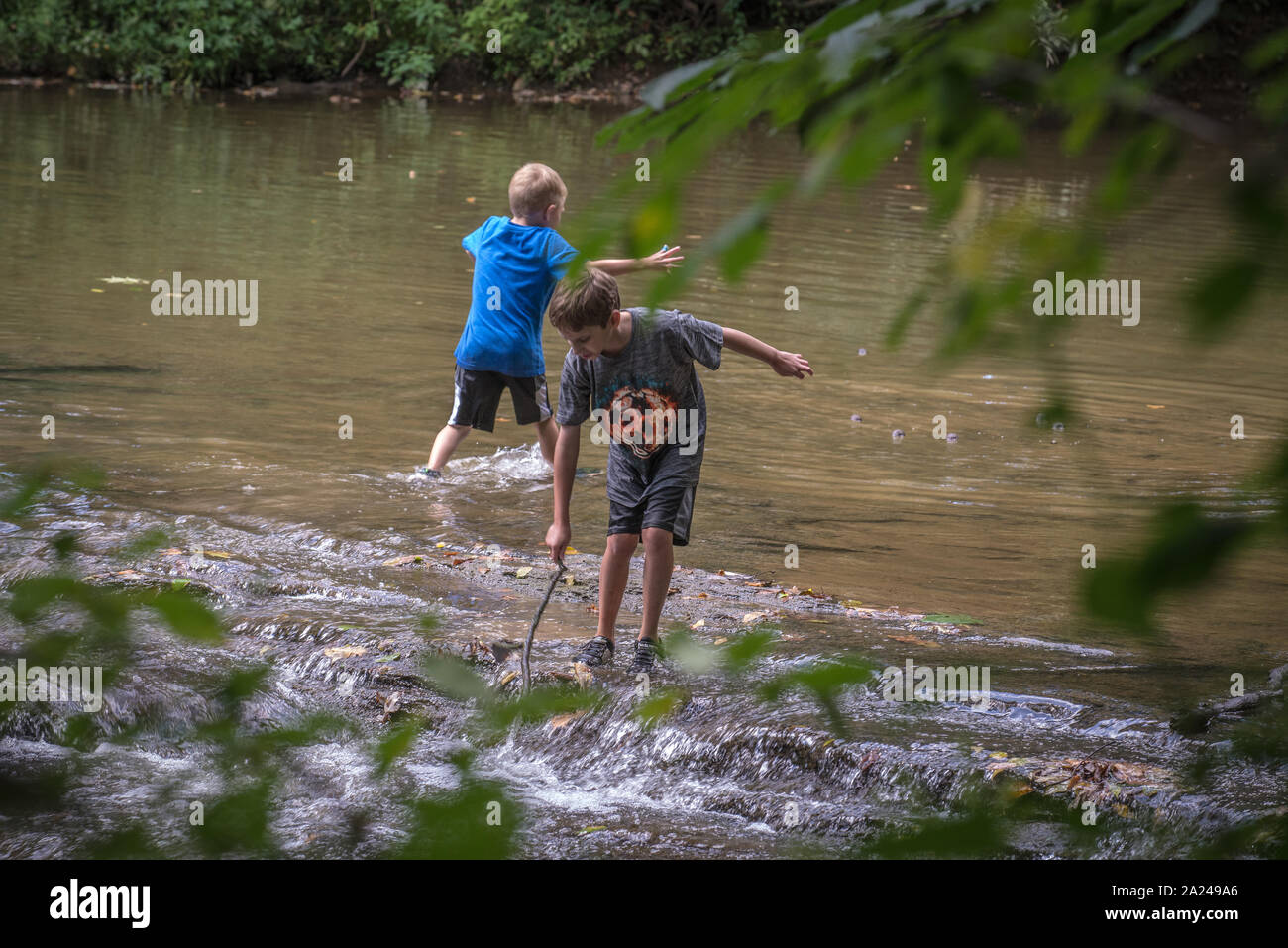 Young boys enjoy exploring in creek Stock Photo - Alamy