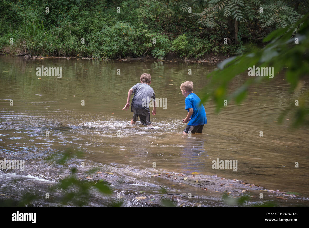 Young boys enjoy exploring in creek Stock Photo - Alamy