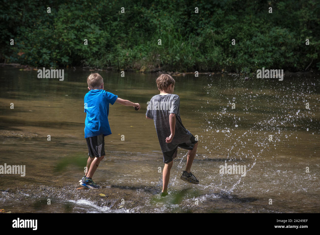 Young boys enjoy exploring in creek Stock Photo - Alamy