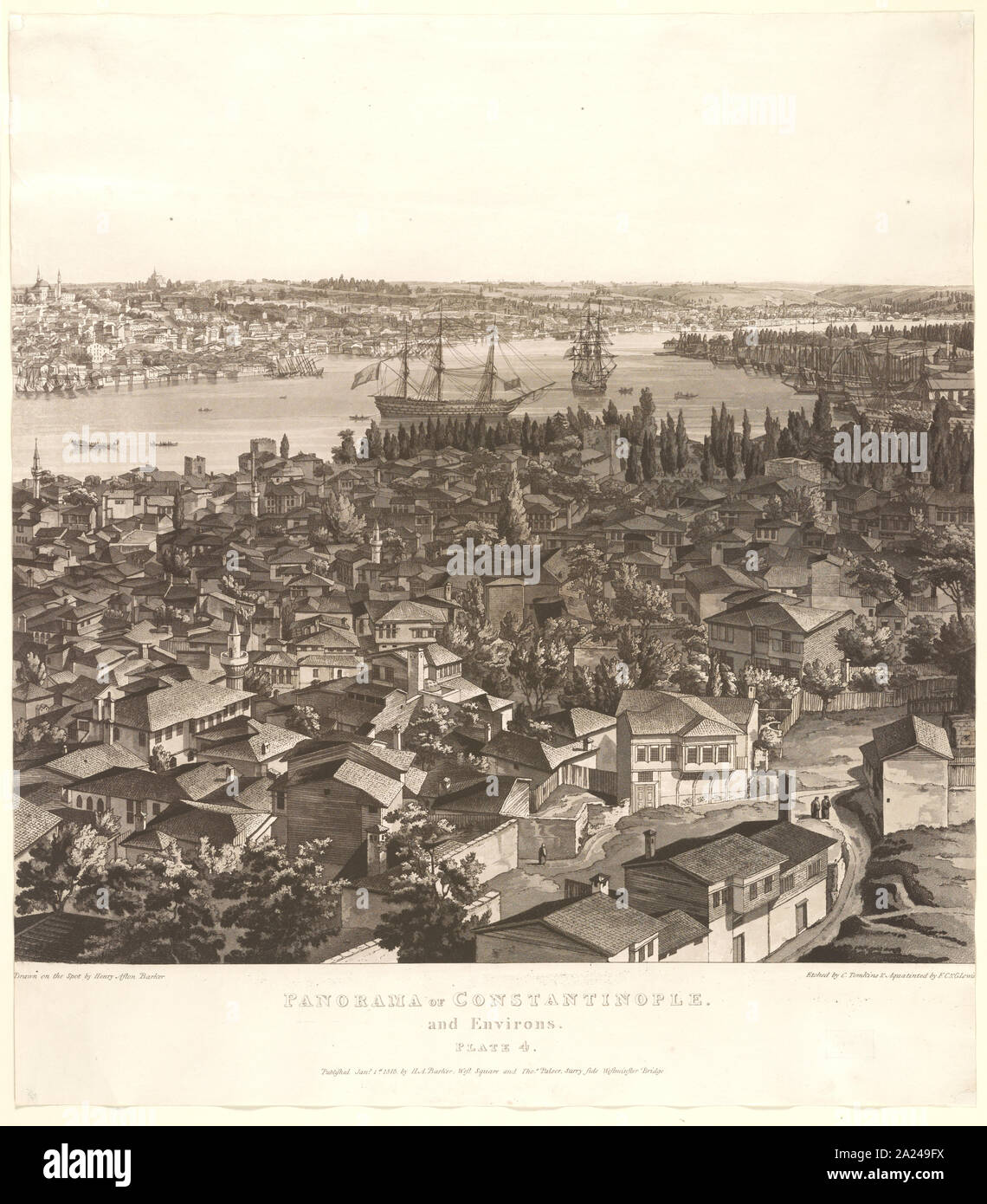 Panorama of Constantinople, and environs ... / drawn on the spot by ...