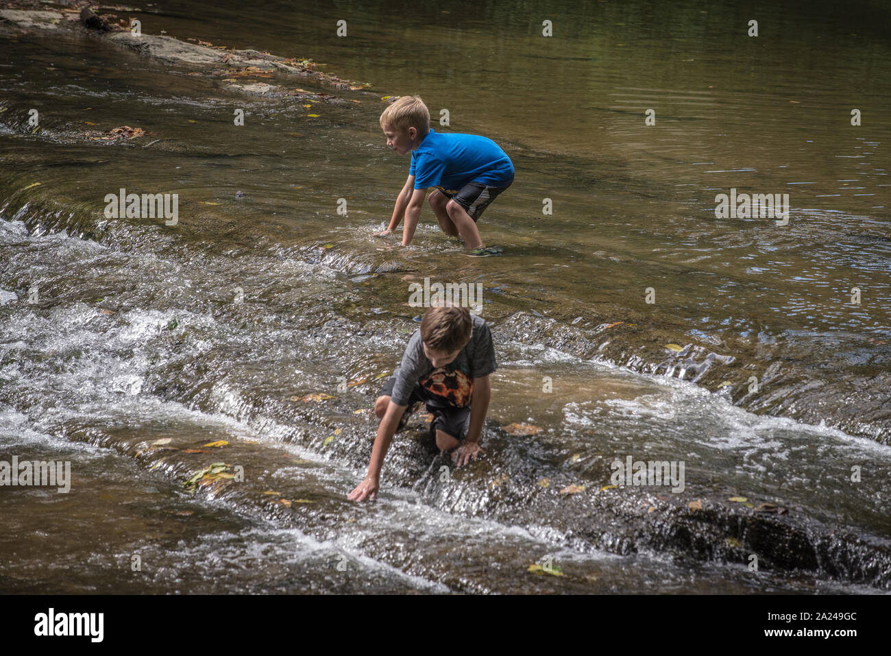 Young boys enjoy exploring in creek Stock Photo - Alamy
