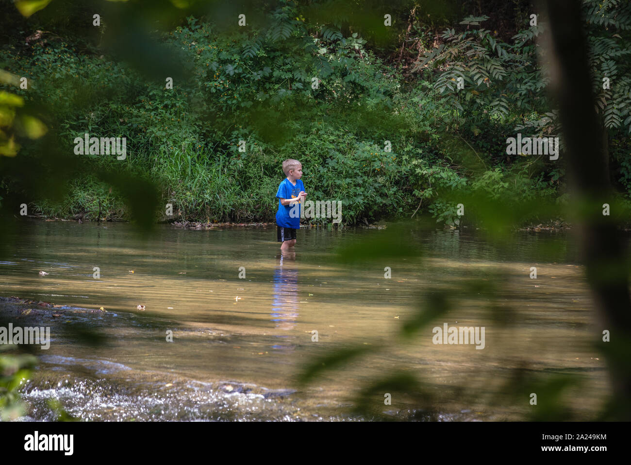 Kids splashing in creek hi-res stock photography and images - Alamy