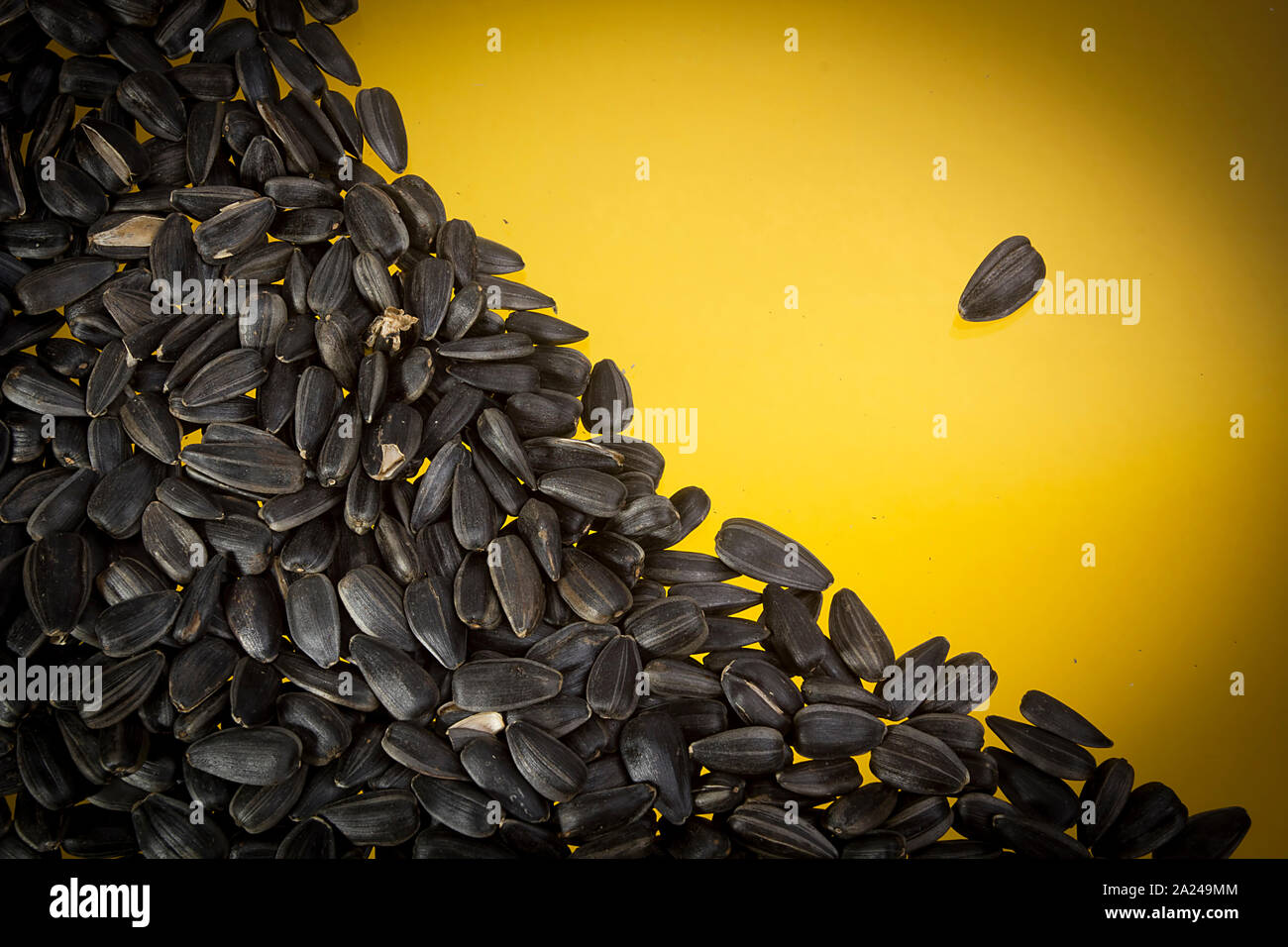 A lot of sunflower hi-res stock photography and images - Alamy