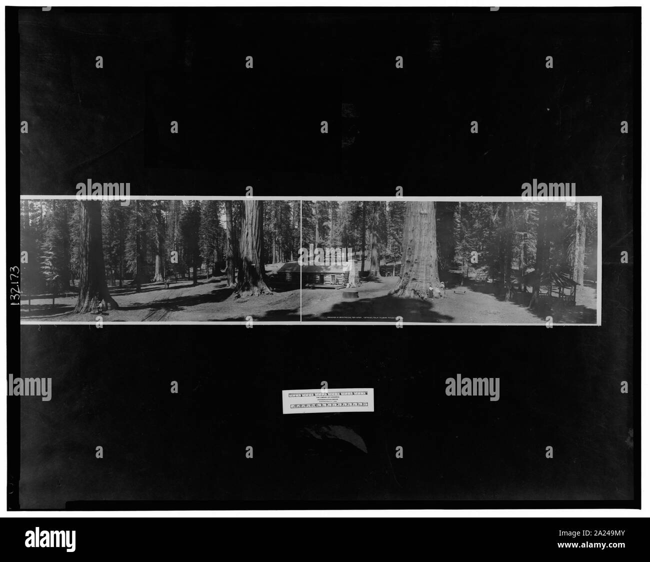 Flora grove Cut Out Stock Images & Pictures - Alamy