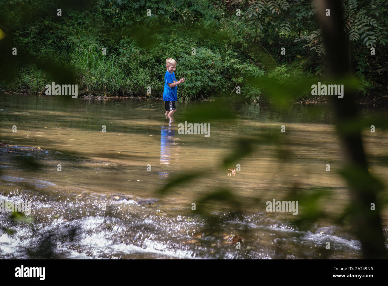Young boys enjoy exploring in creek Stock Photo - Alamy