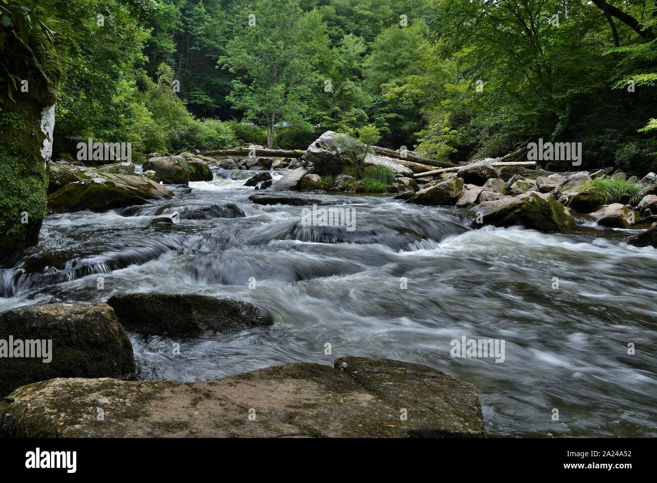 Smoky Mountains river Stock Photo - Alamy