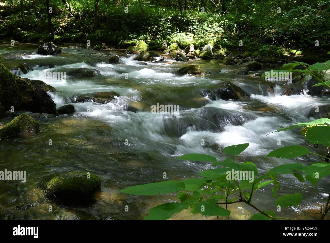Smoky Mountains river Stock Photo - Alamy