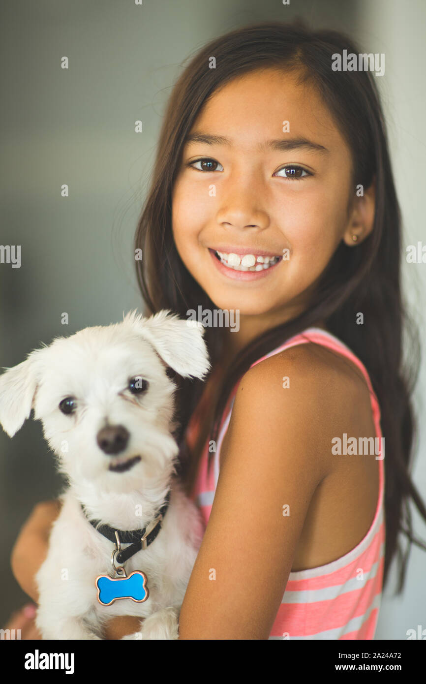 Activity little dog hi-res stock photography and images - Alamy