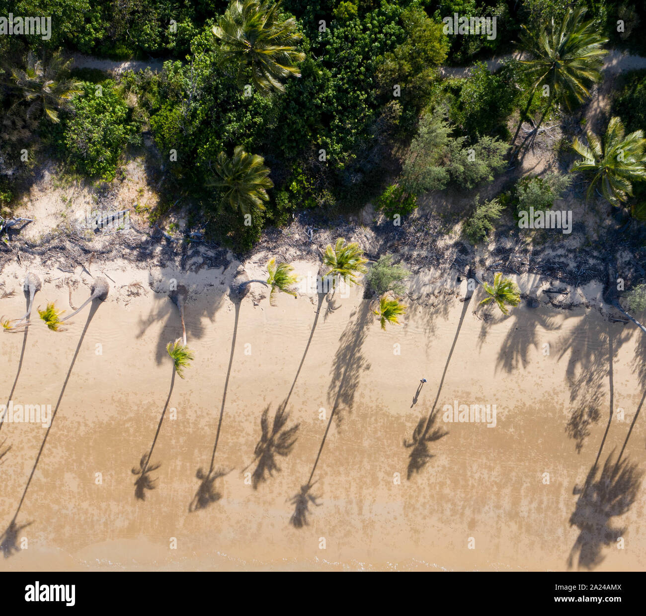 Scenery Tropical white sand bech with coconut palm tree background ...