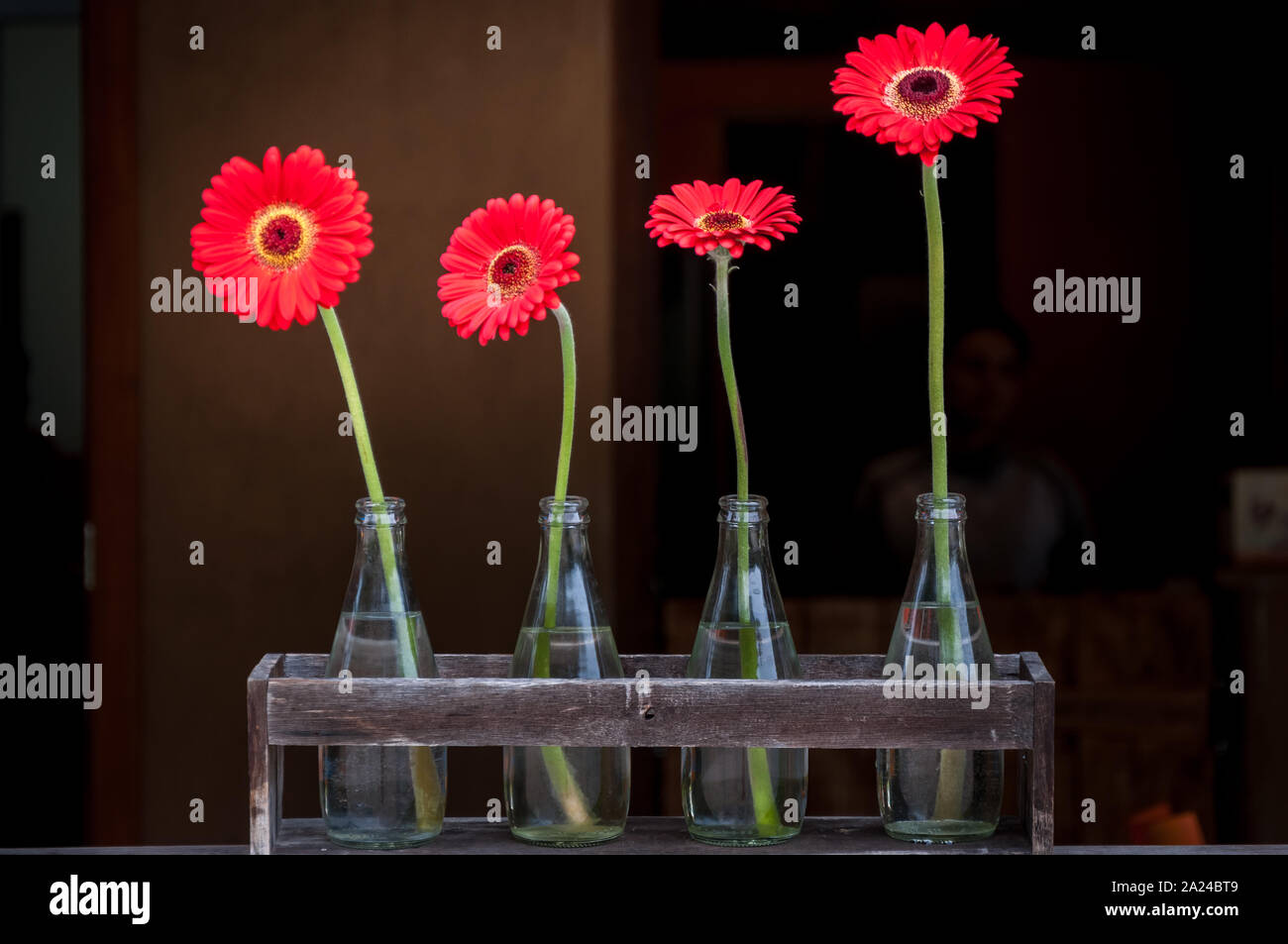 At One With Nature Stock Photo - Alamy