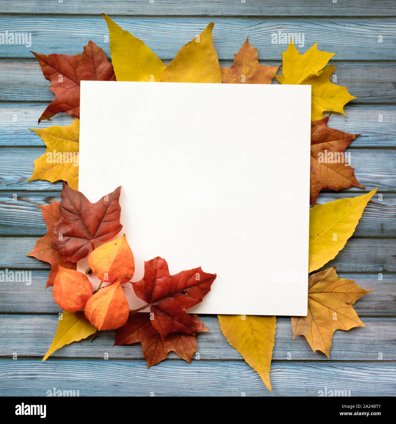 Creative square autumn flat hi-res stock photography and images - Alamy