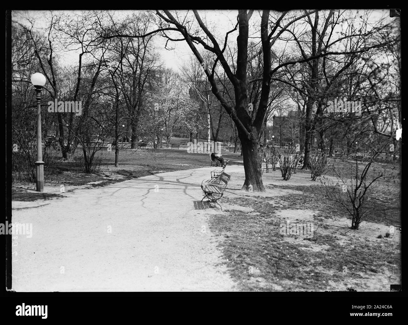 Park scenes, Washington, D.C Stock Photo - Alamy