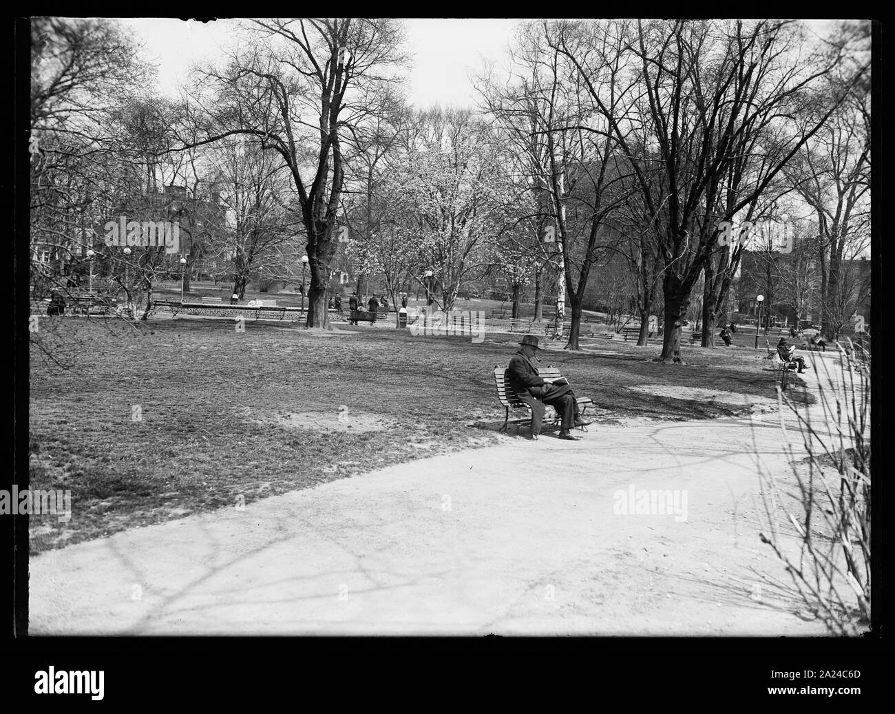 Park scenes, Washington, D.C Stock Photo - Alamy