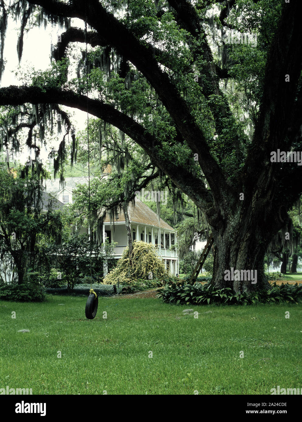 Parlange plantation louisiana hi-res stock photography and images - Alamy