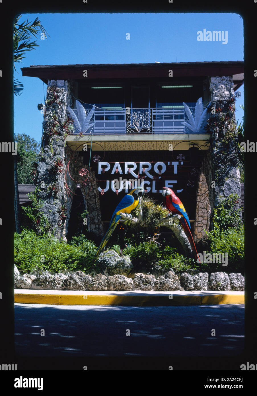 Parrot jungle miami hi-res stock photography and images - Alamy
