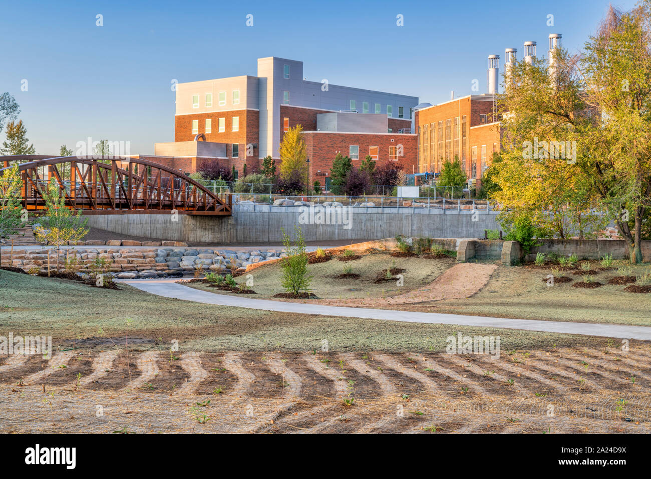 landscaping and restoration of natural grass and vegetation in a newly ...