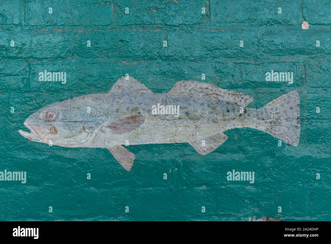 Part of an elaborate fish mural, painted in 1906 by a local (reputedly ...