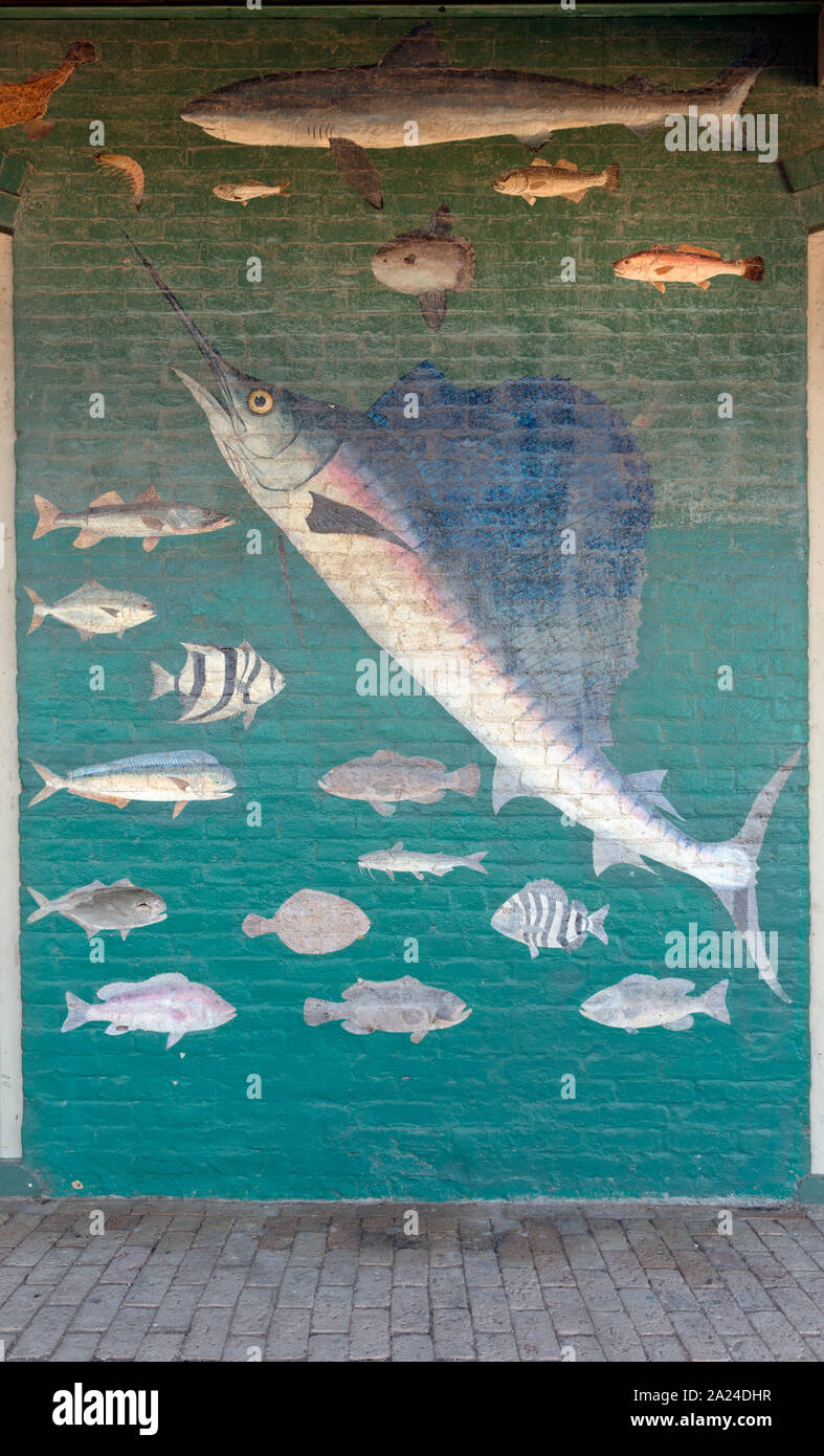 Part of an elaborate fish mural, painted in 1906 by a local (reputedly ...