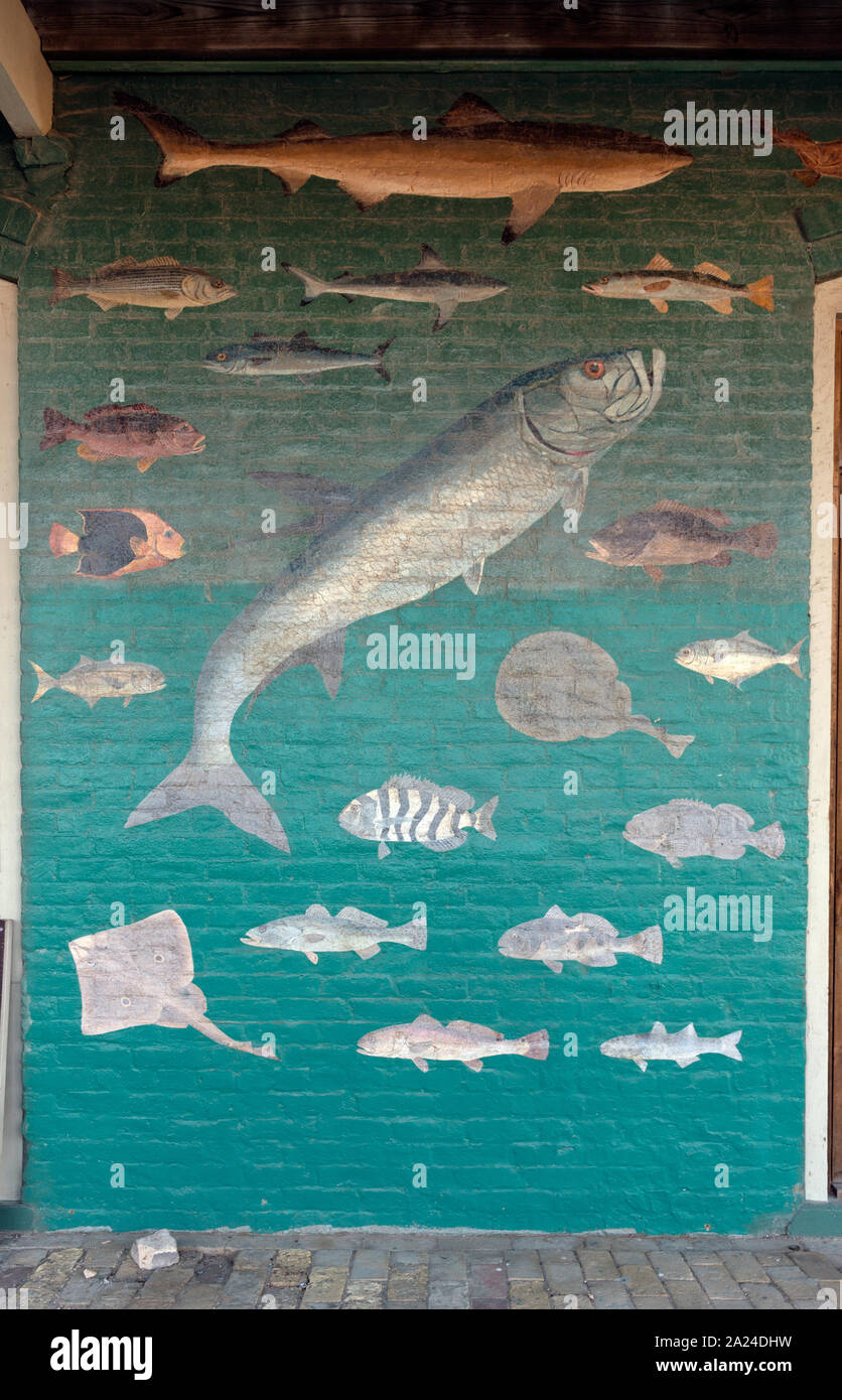 Part of an elaborate fish mural, painted in 1906 by a local (reputedly ...