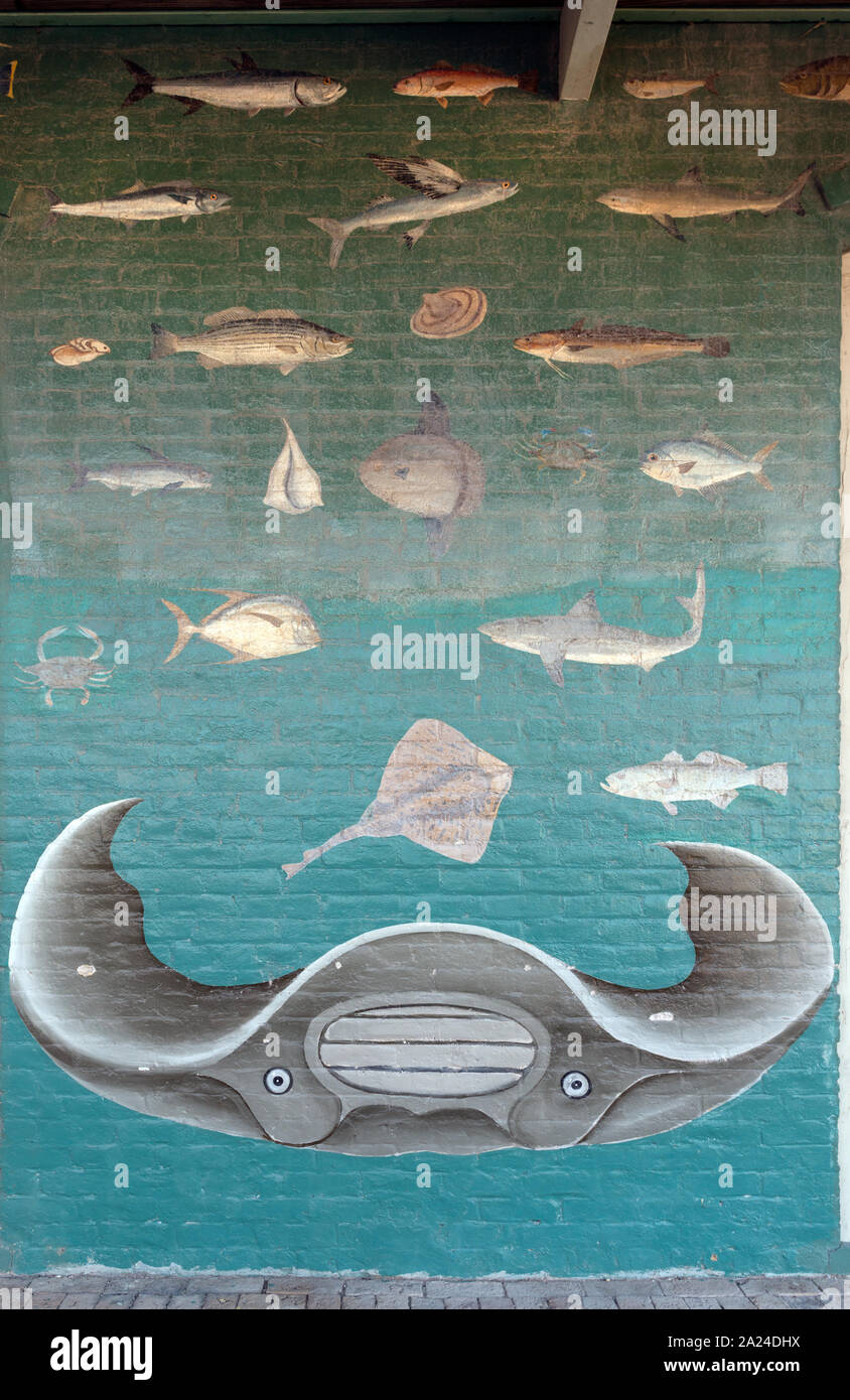Part of an elaborate fish mural, painted in 1906 by a local (reputedly ...
