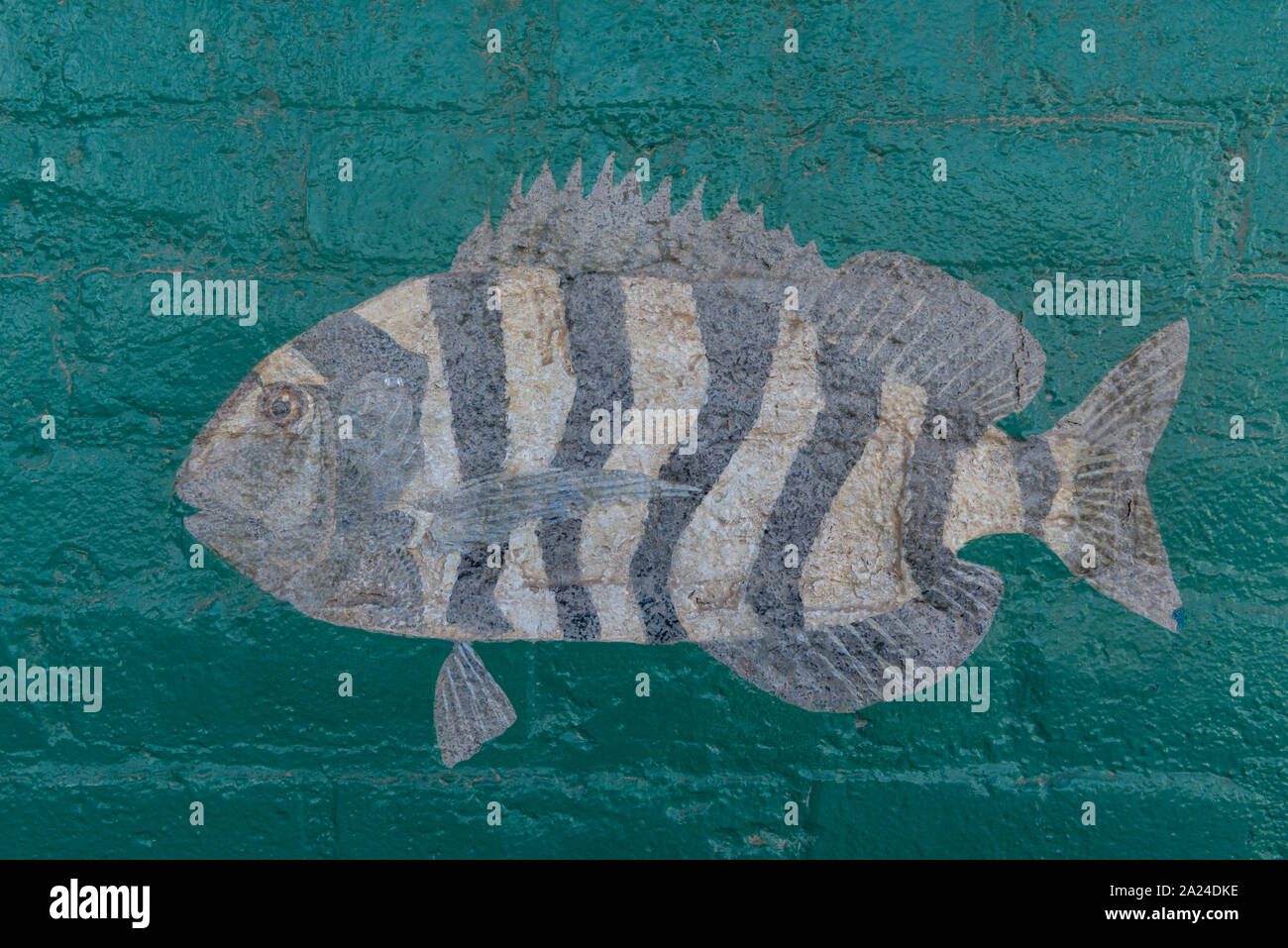 Part of an elaborate fish mural, painted in 1906 by a local (reputedly ...