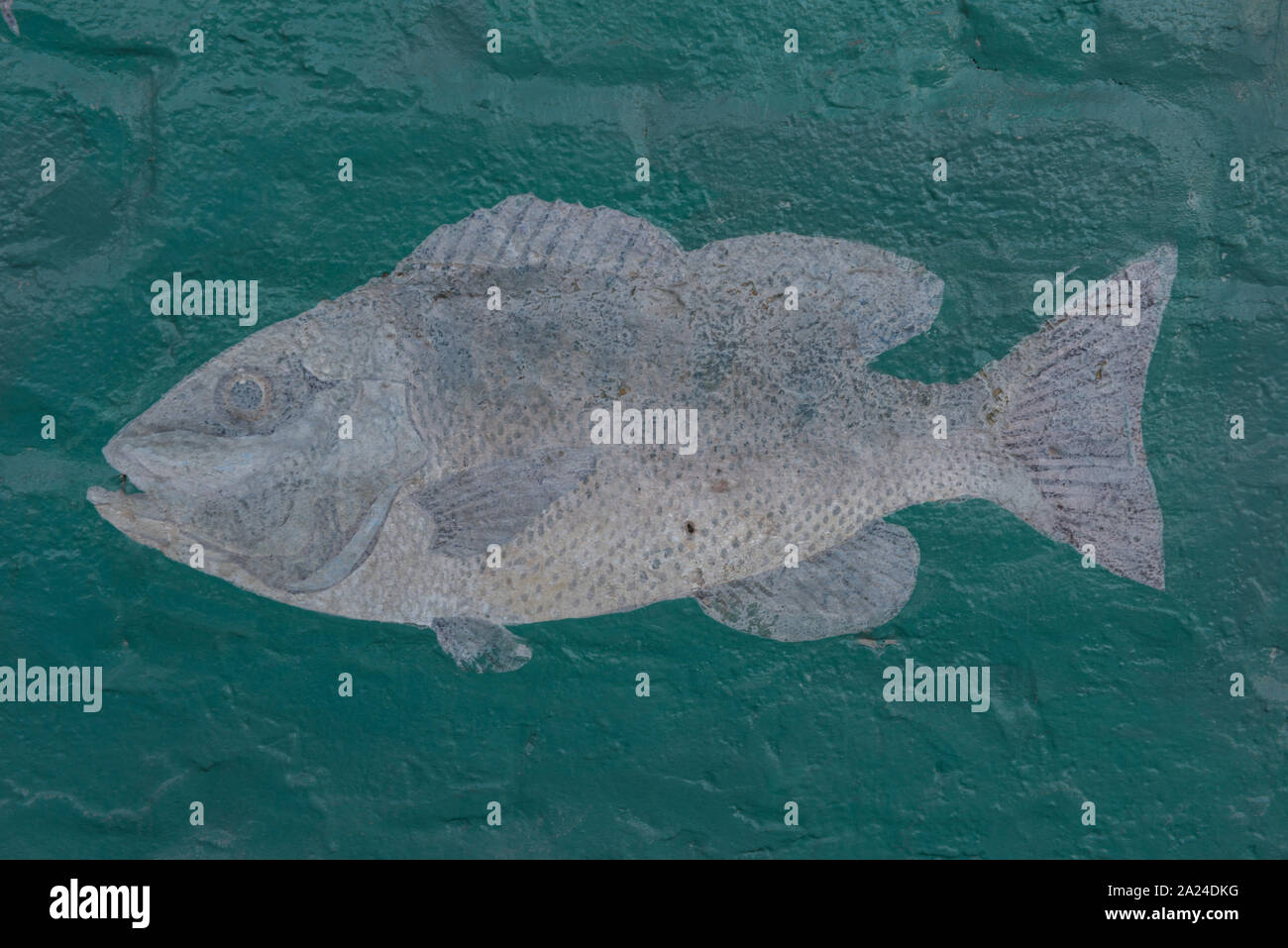 Part of an elaborate fish mural, painted in 1906 by a local (reputedly ...