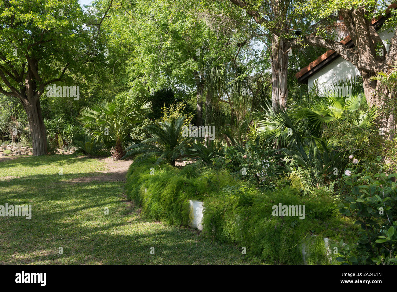 Part of the grounds at Quinta Mazatlan, a historical adobe mansion and ...
