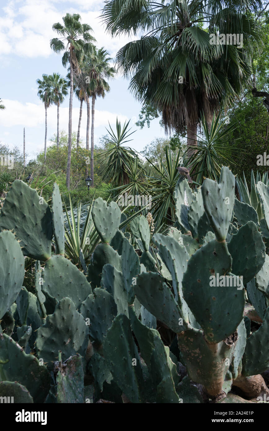 Part of the grounds at Quinta Mazatlan, a historical adobe mansion and ...