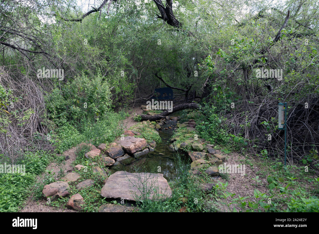 Part of the grounds at Quinta Mazatlan, a historical adobe mansion and ...