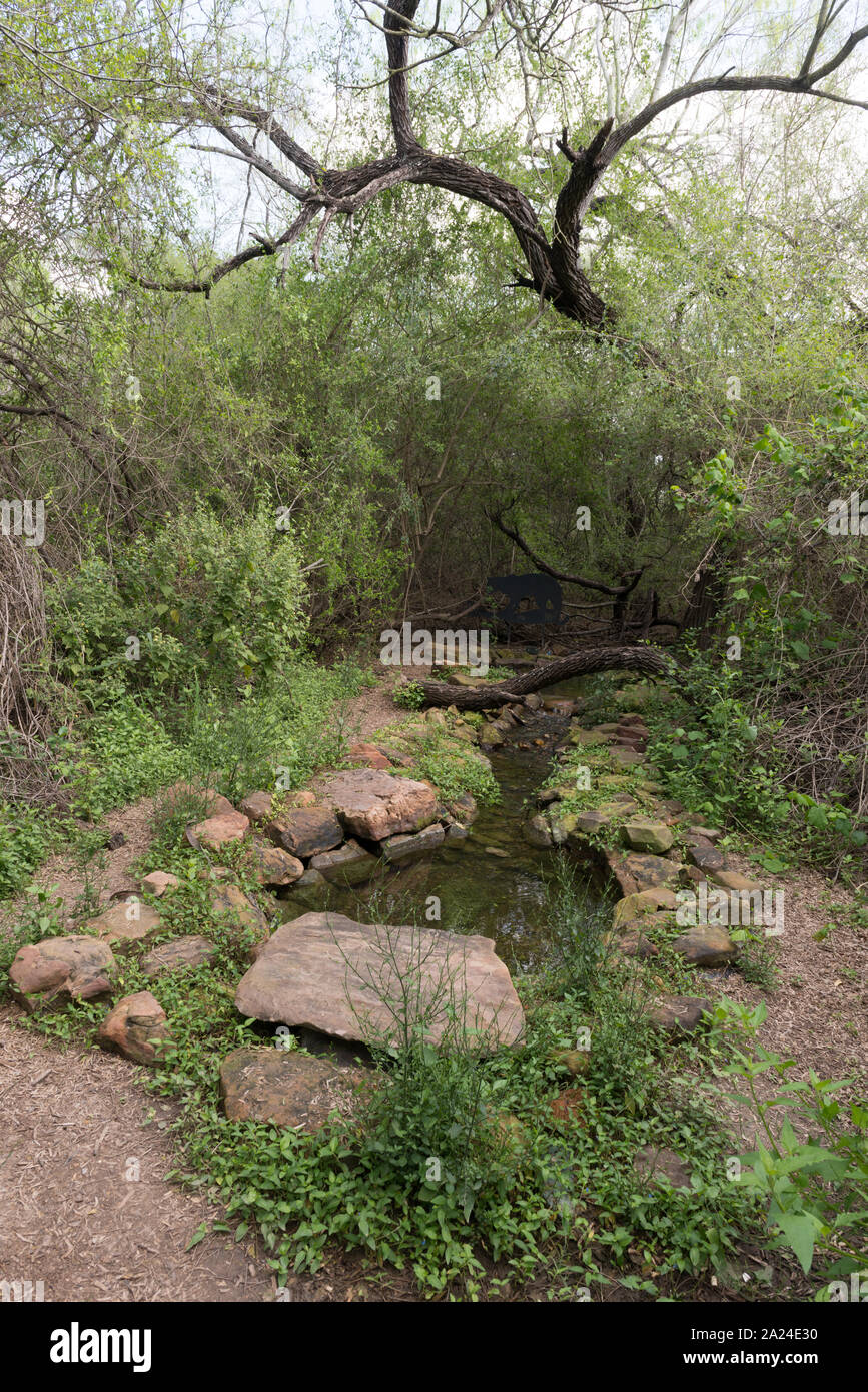 Part of the grounds at Quinta Mazatlan, a historical adobe mansion and ...
