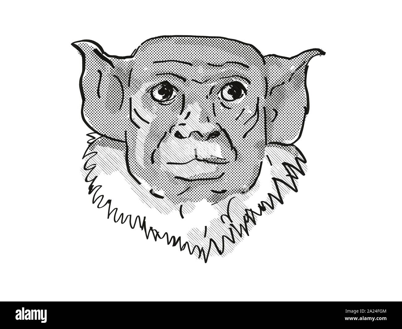 Retro cartoon style drawing of head of a pied tamarin, a small species ...
