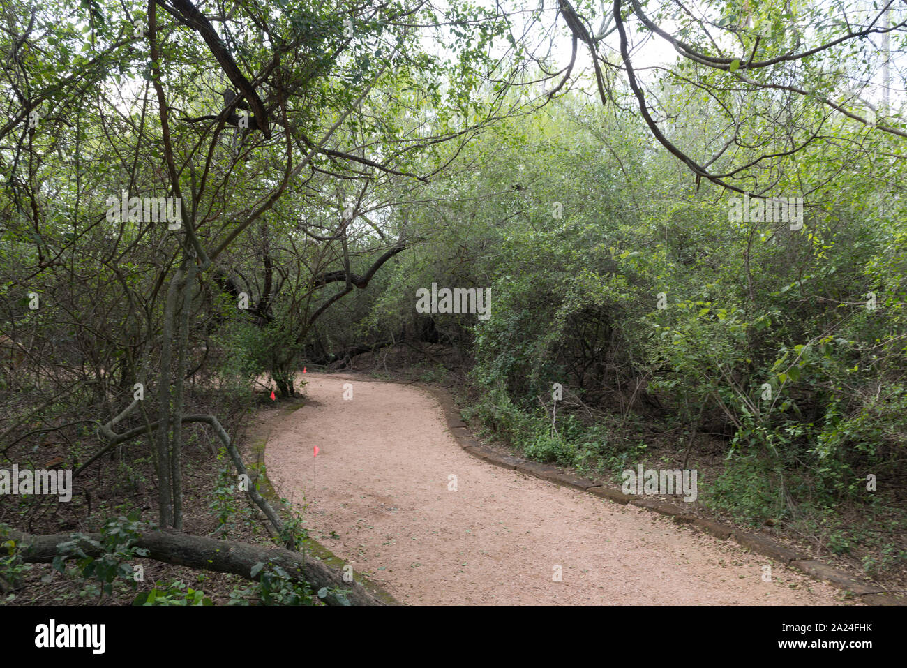 Pathway at Quinta Mazatlan, a historical adobe mansion and nature and ...