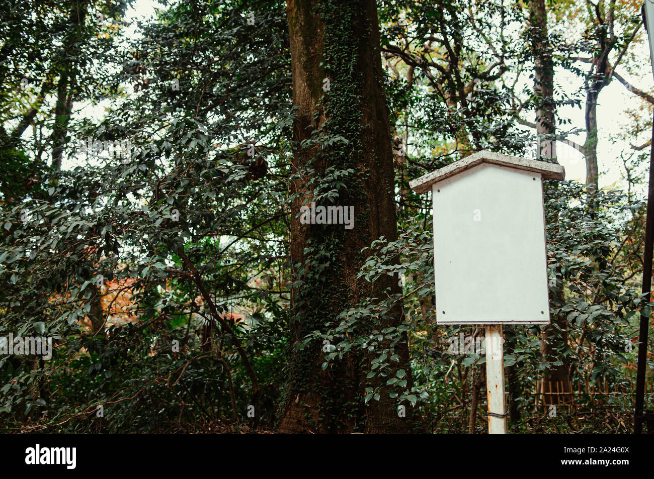 Yoyogi park near meiji jingu hi-res stock photography and images - Alamy