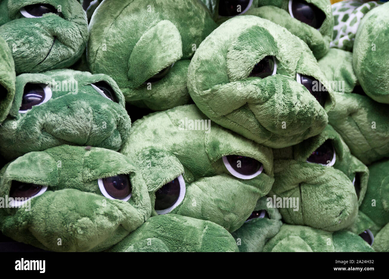 turtle teddy packed on the display rack Stock Photo - Alamy