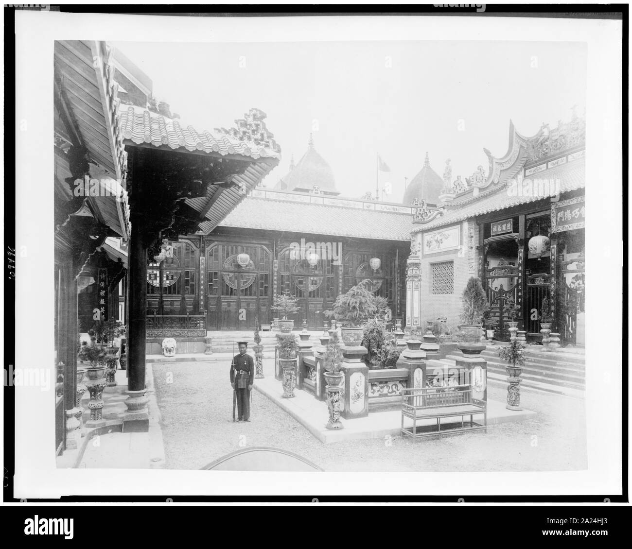 Cochinchine hi-res stock photography and images - Alamy