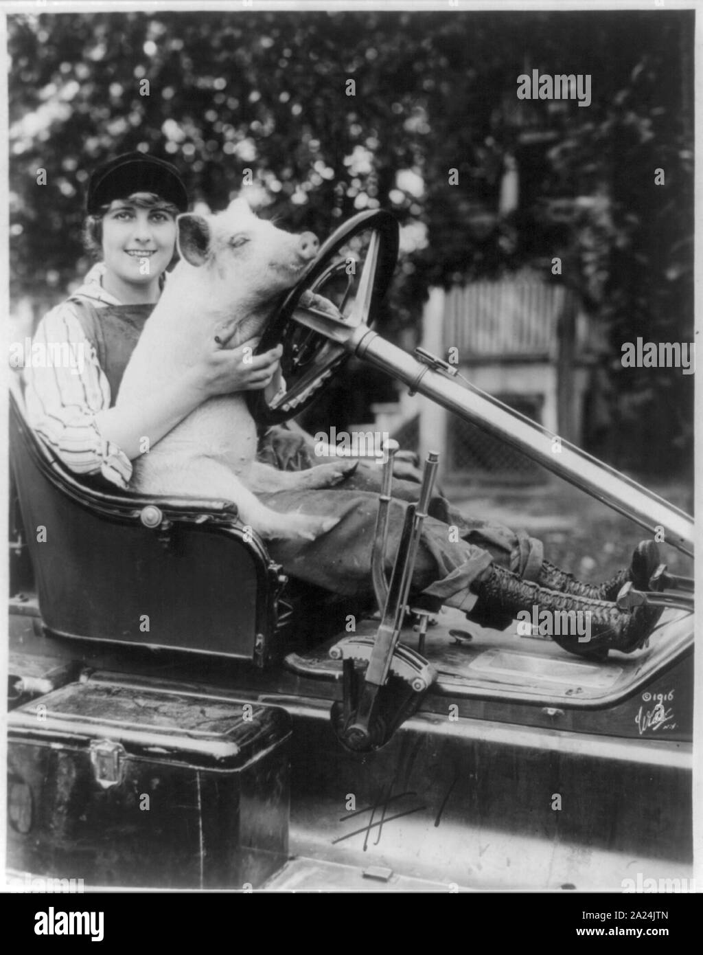 Pearl White, 1889-1938, full length, seated behind steering wheel of an ...